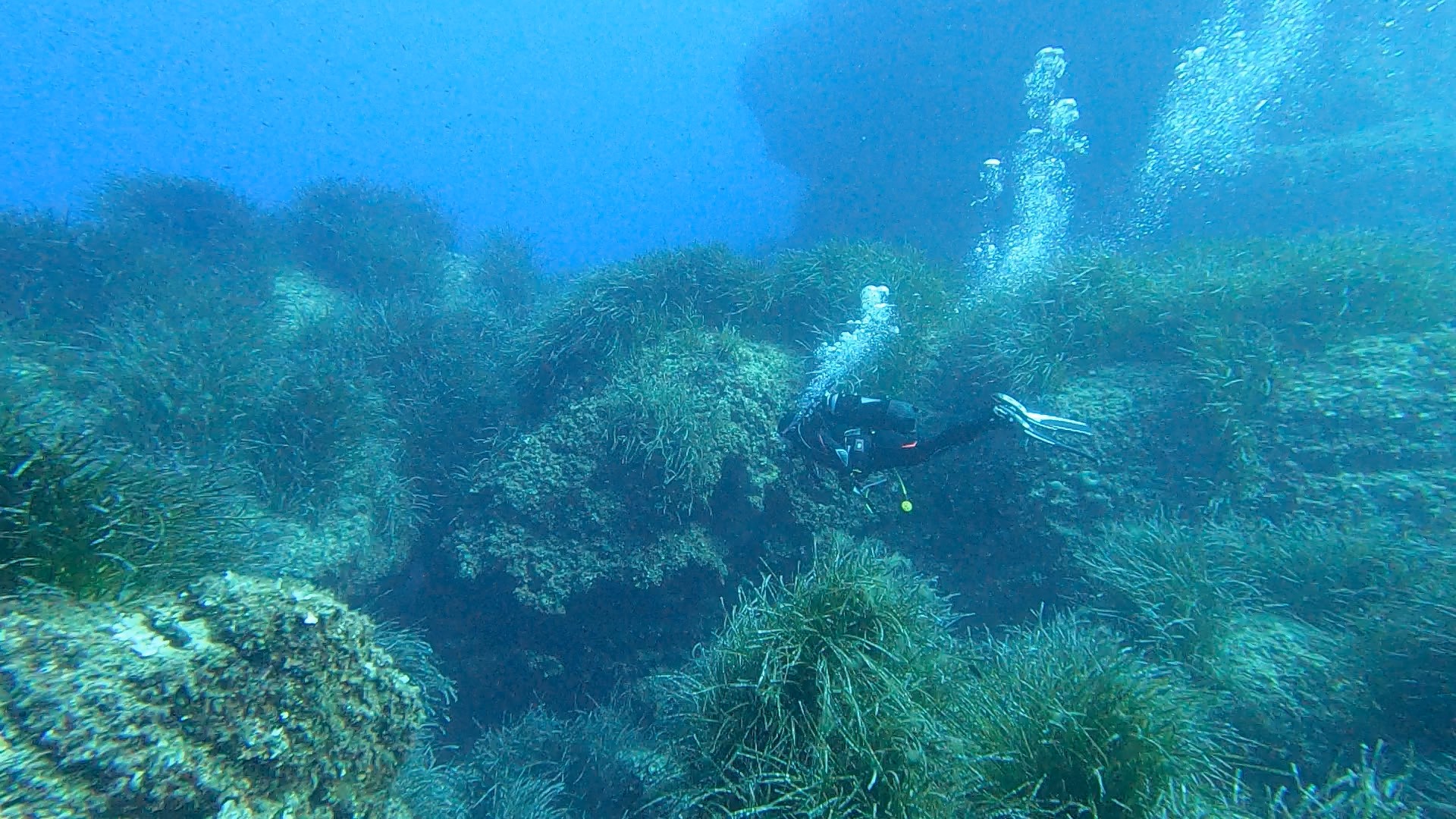 Due siti siciliani al centro di una ricerca ambientale internazionale ...