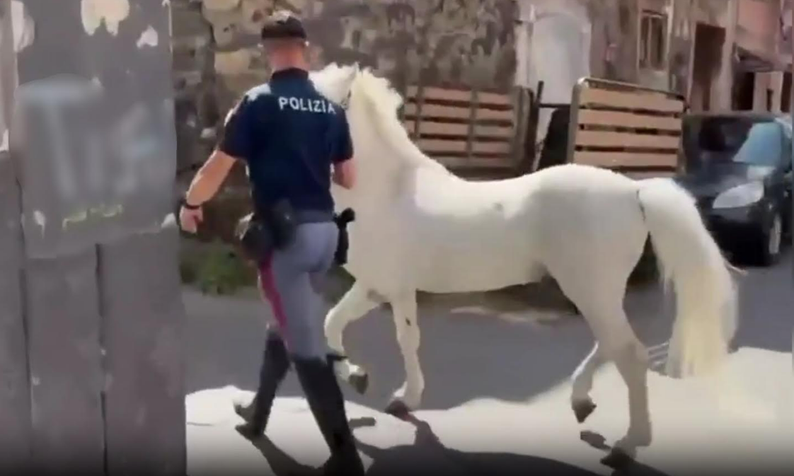 Venti persone intossicate dopo avere mangiato pesce a Palermo